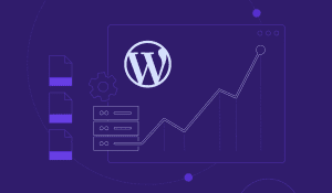 What is WordPress Database Optimization and How It Works